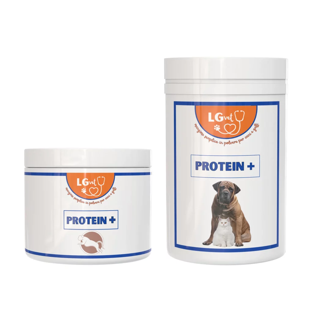 Protein + | LG Vet